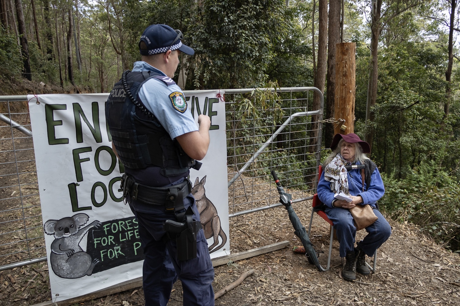 Fourth Arrest at Bulga Forest - Save Bulga Forest